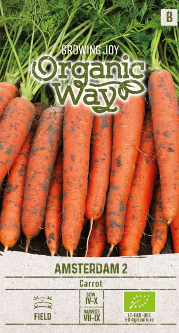 Gulerod Amsterdam 2 - Gulerødder - FritidogBolig.dk